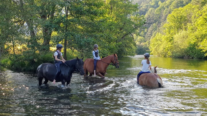 Mühle In Der Pferdewelt Reichenau - Semmering