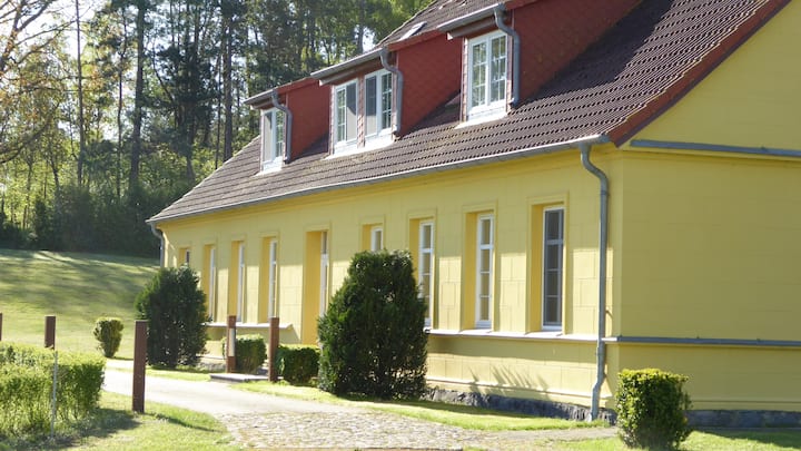 Hochwertige Galerie Mit Mezzanine Und Ostseeblick - Schaprode