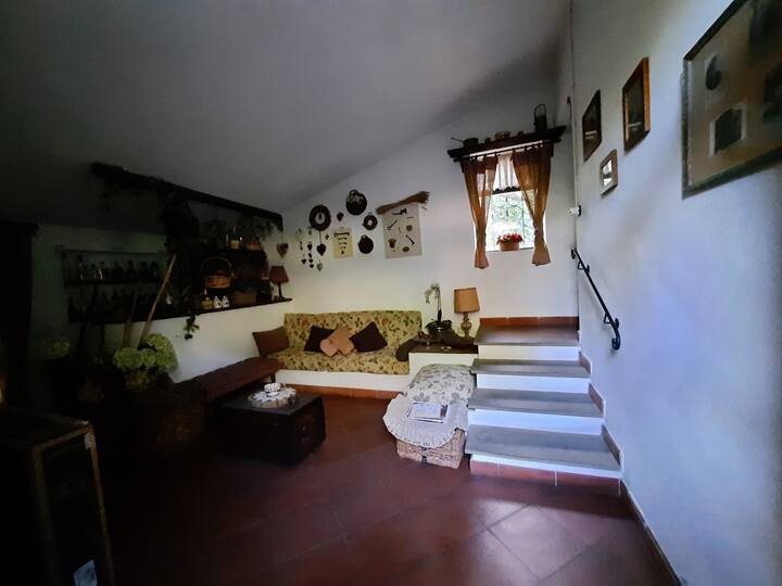 Tuscany -Gli Ulivi - A Sweet Sanctuary Of Wellness - Toscane