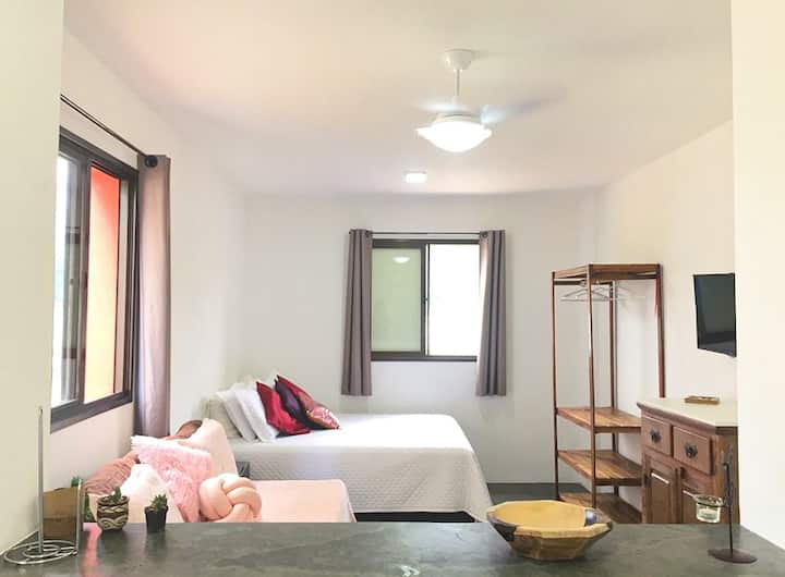 Loft A 100m Praia De Massaguaçu - Caraguatatuba