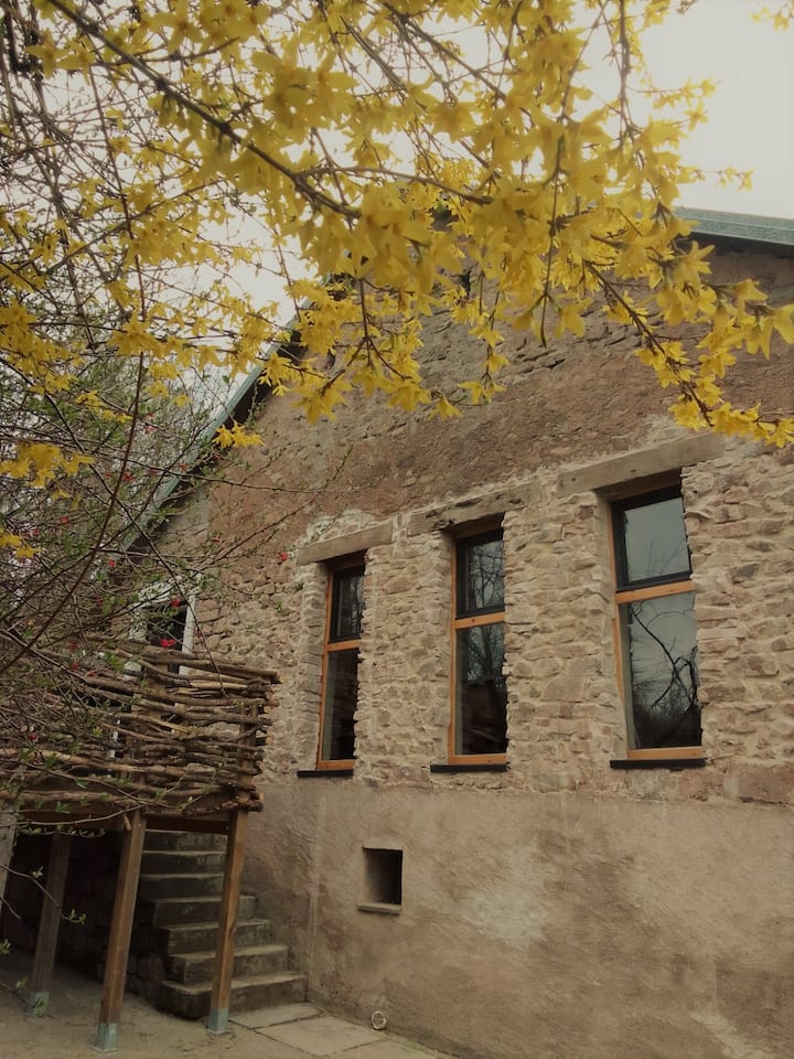 Loft Les Noies Parrons, Gîte Aux Milles éTangs - Haute-Saône
