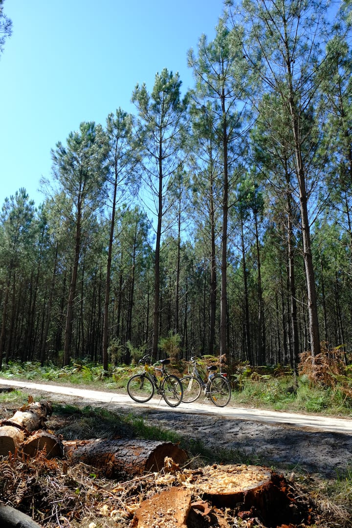 La Cabane Route 66 - Mézos