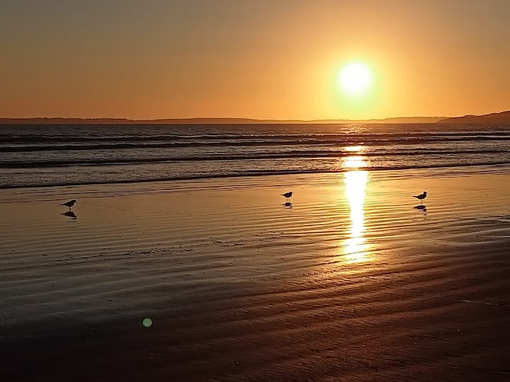 Magnifique Vue Mer, à 150 M De Plage De Lestrevet - Plomodiern
