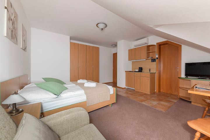 Apartments Tabor/free Parking/ - Kranj