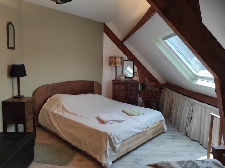 Chambre Verte - Tours
