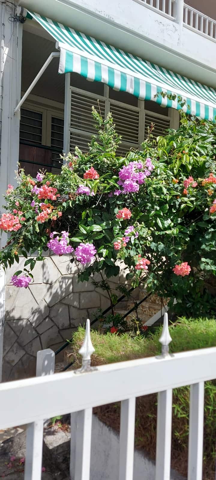 La Kaye José - Fort-de-France