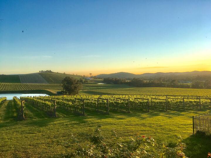 Mount Hope Vineyard - Healesville