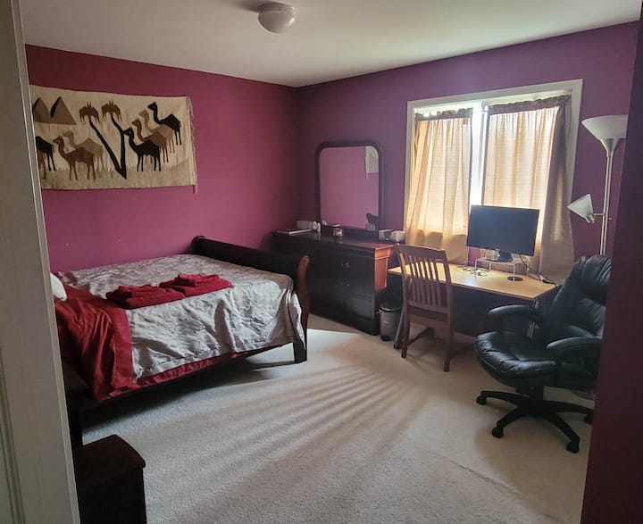 North Campus Queen Room 2 - Ann Arbor, MI