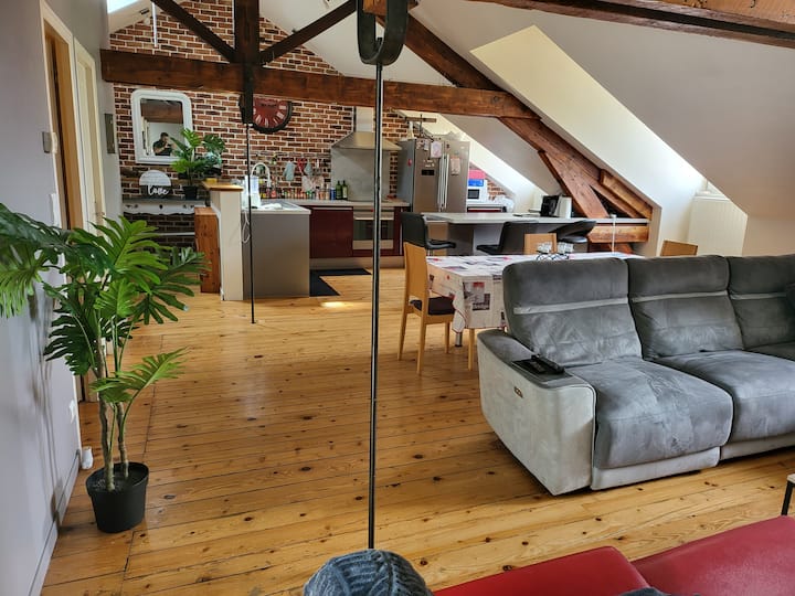 Magnifique Loft Hyper Centre - Roanne