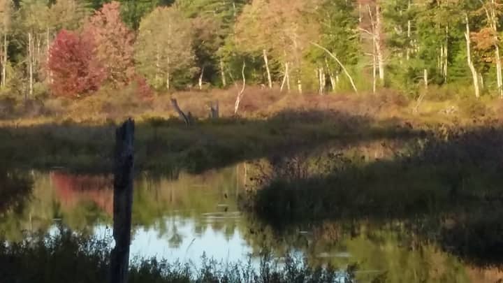 All Maine Has To Offer From Here - Limerick, ME