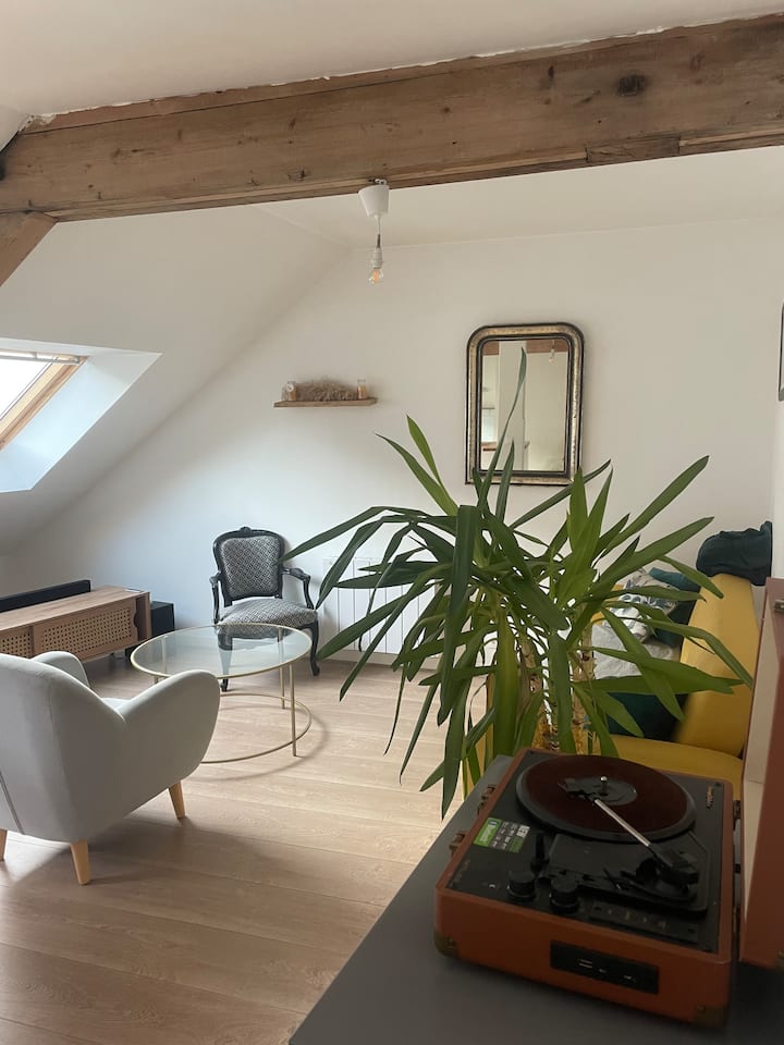 Cosy Appartement De Centre Ville - Cherbourg-Octeville