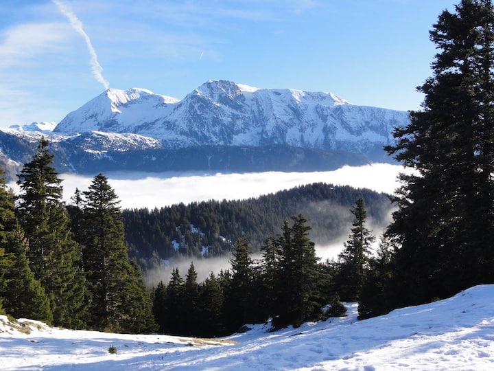 ÉVasion Nature En Montagne - Chamrousse
