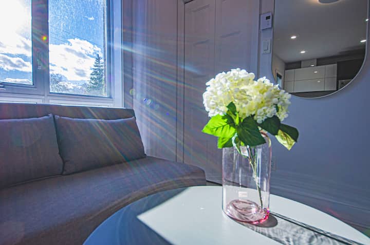 Modern Cozy Bright Apt W/2br,gym,prking,dt&airport - Dorval