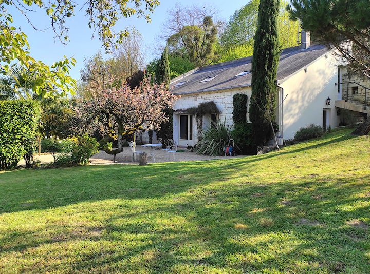 Le Clos Pommier - Montsoreau