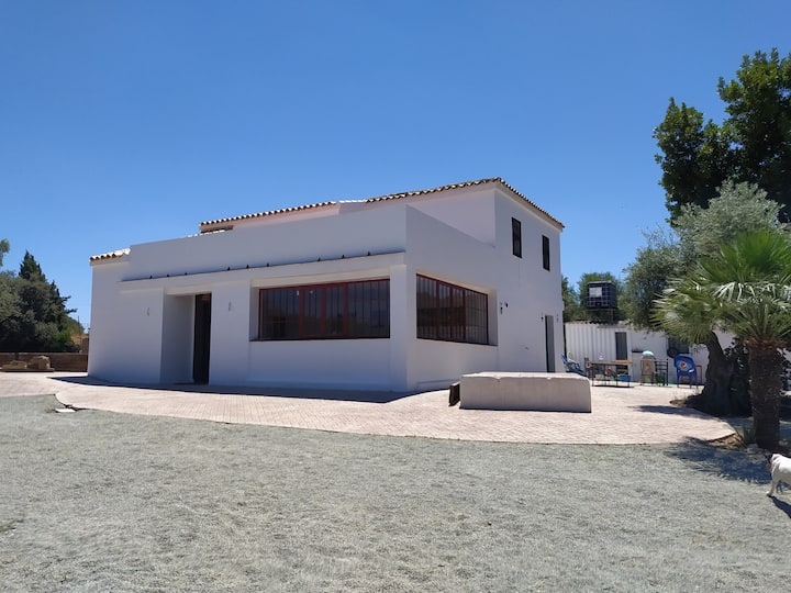 Lagorda - Castilblanco de los Arroyos