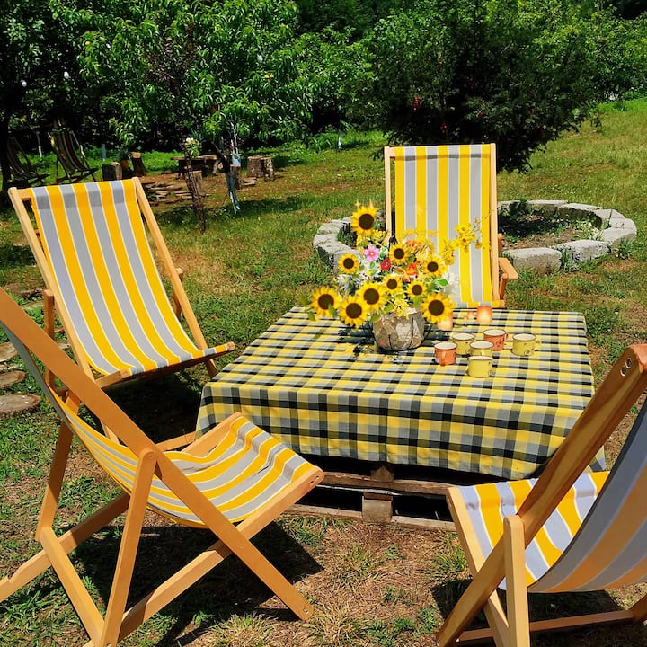 Picnics And Events At The Villa - Koutaïssi