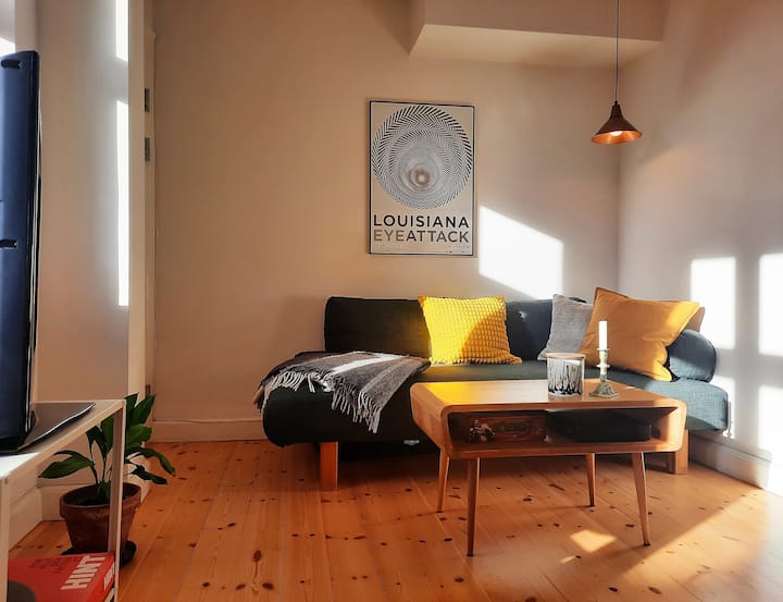 Room In Spacious Flat - Nørrebros Runddel Metro - Copenhaguen