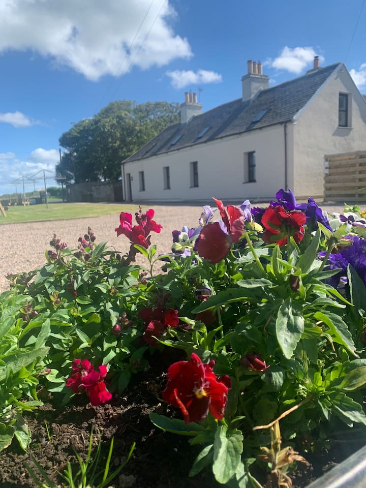 Thurdistoft Cottage 2 Sea View - Thurso