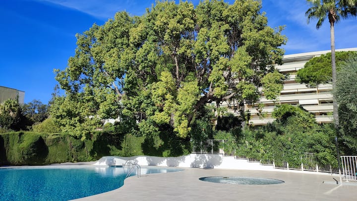 Spacieux Studio - 2 Gds Lits - Piscine - - Cannes