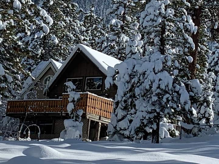 Wooded, Quiet & Secluded Chalet - South Lake Tahoe, CA