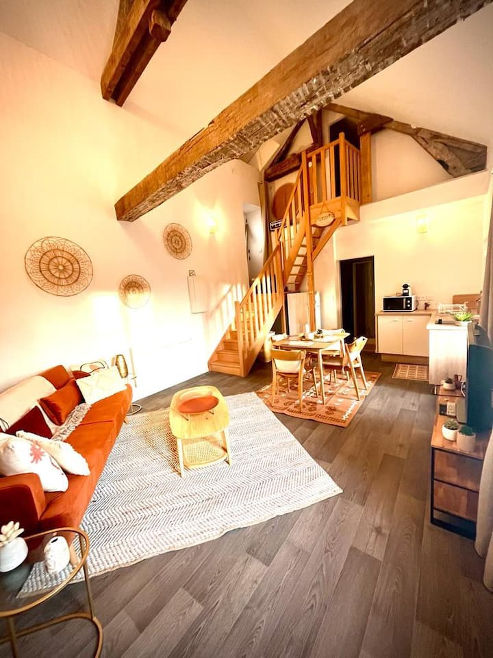 Logement Insolite à Blois 11 - Blois