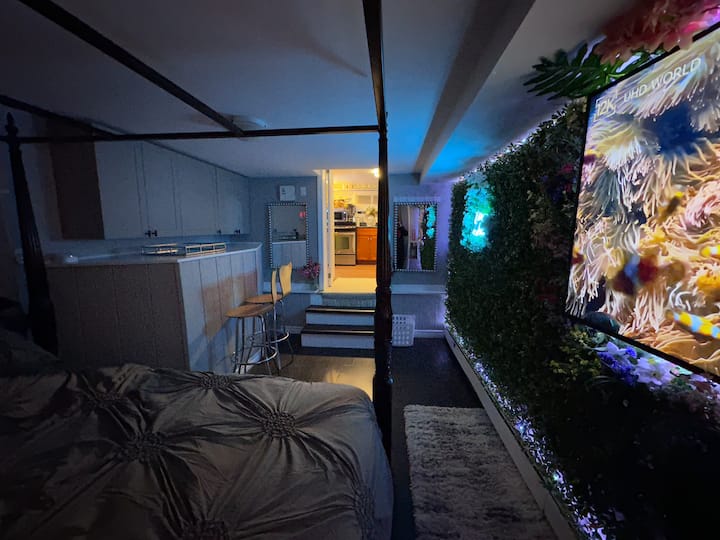 Unique Apt With Memorable Style - Halifax