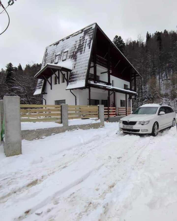 Mountain Break Azuga - Predeal