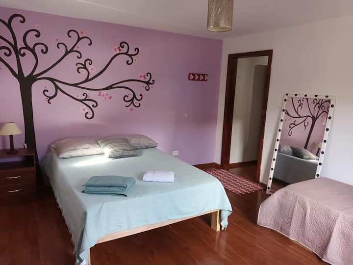 Habitación Con Baño Privado D - Ushuaia