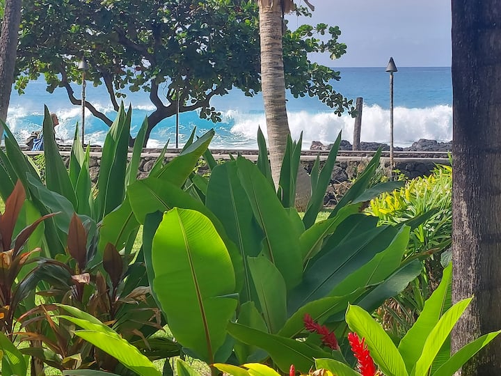 Kona Surfshack: Oceanfront/dt, Free Sup Rental! - Kailua-Kona, HI