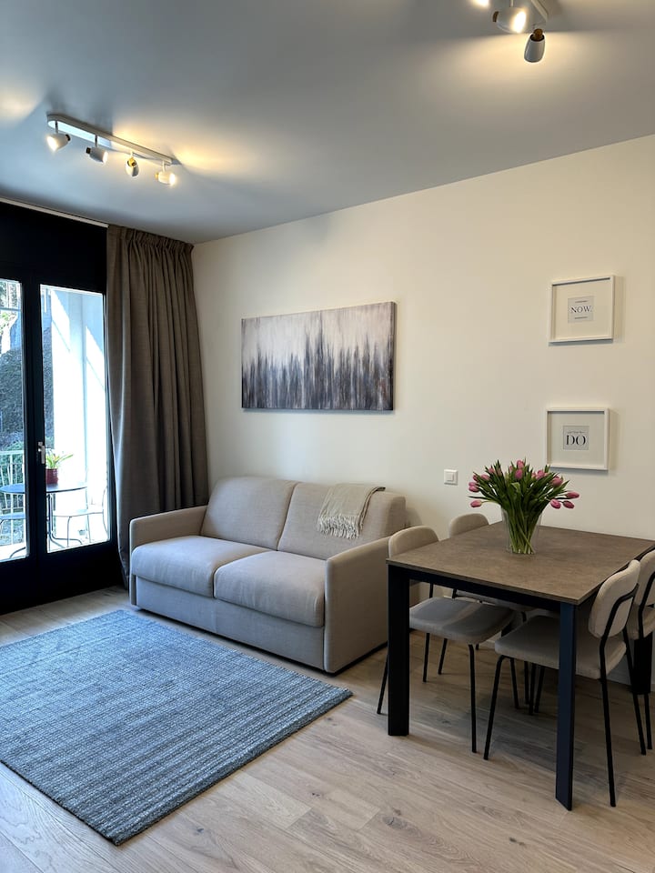 Live Lugano - Via A. Riva - One-room Balcony Flat - Lugano