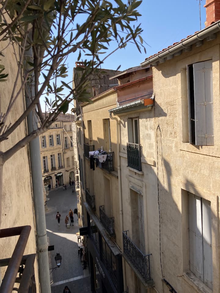 Un Cocon Dans L’écusson - Montpellier