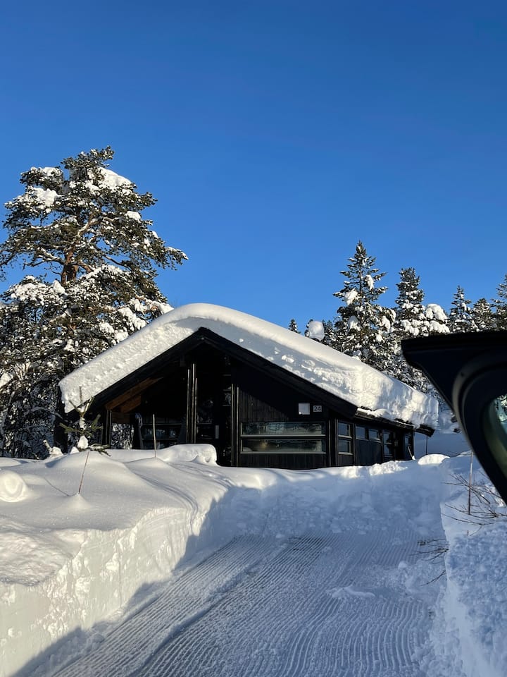 Hytte Nær Skiløype Og Alpinbakke - Rauland