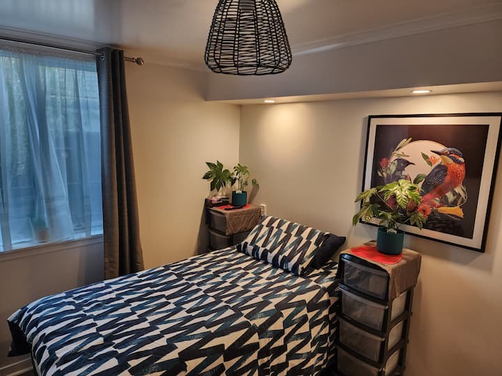 Twin Room - Two Single Beds - Christchurch