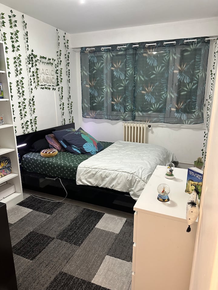 Appartement Centre Ville - Le Mans