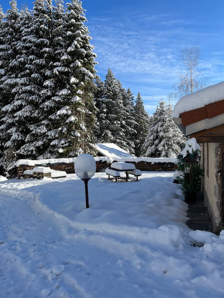 Gîte Forêt Gérardmer - La Bresse
