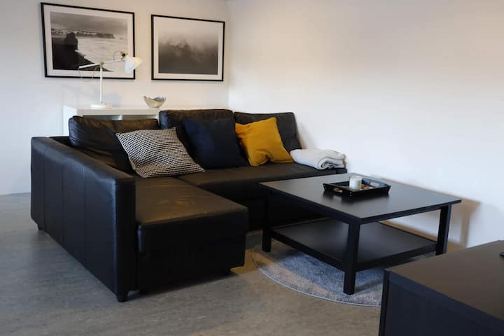 Lovely Apartment In Reykjavík. - Reikiavik
