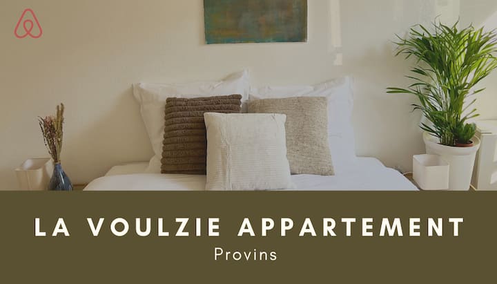 La Voulzie Appartement, Parking Privé Et Terrasse - Provins