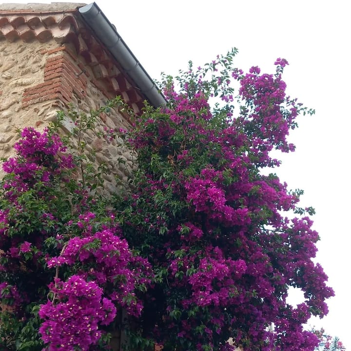 Traumhaftes Haus Für 6 Personen Mit Klimaanlage - Argelès-sur-Mer