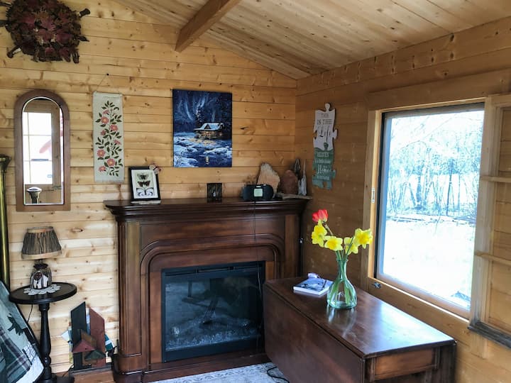 Bwthyn Bluff Cabin - Ontario