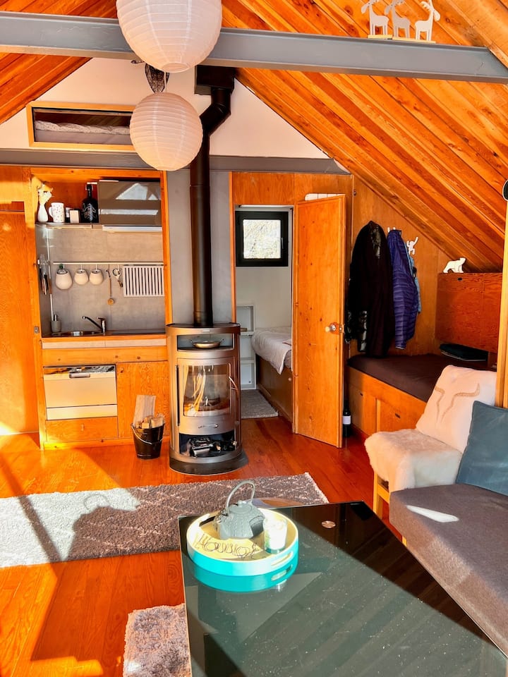 Le Petit Chalet - Vars - Vars
