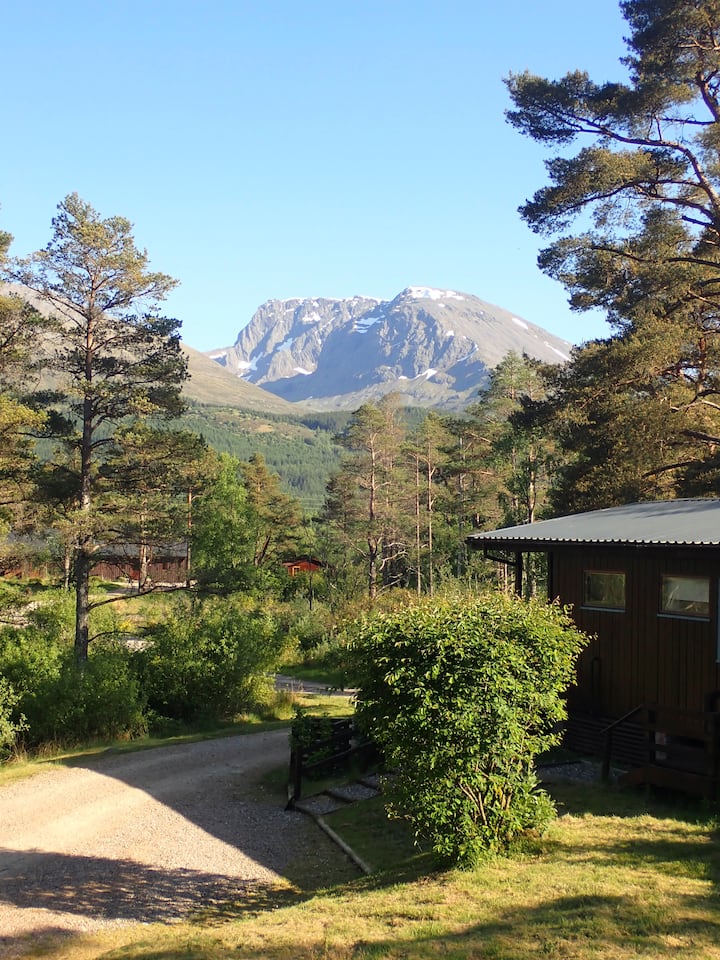 "Kingswood" Mountain Views In Mid Century Chalet - Fort William