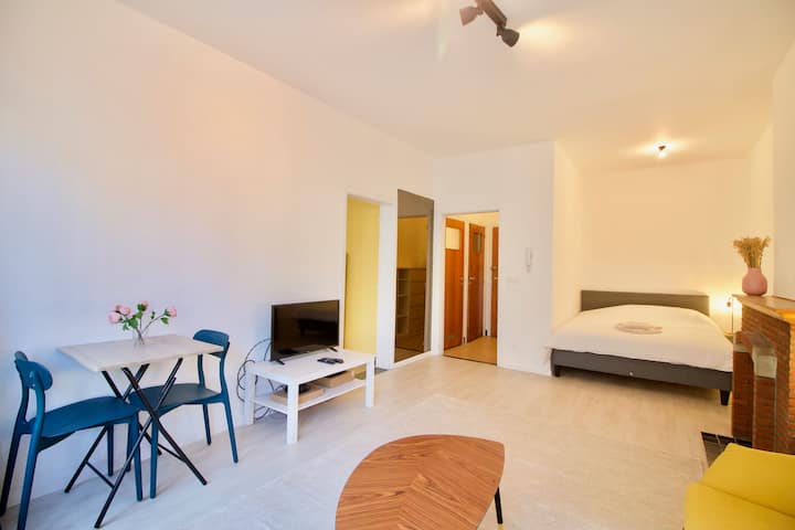 Splendid & Renovated Studio - Brussels