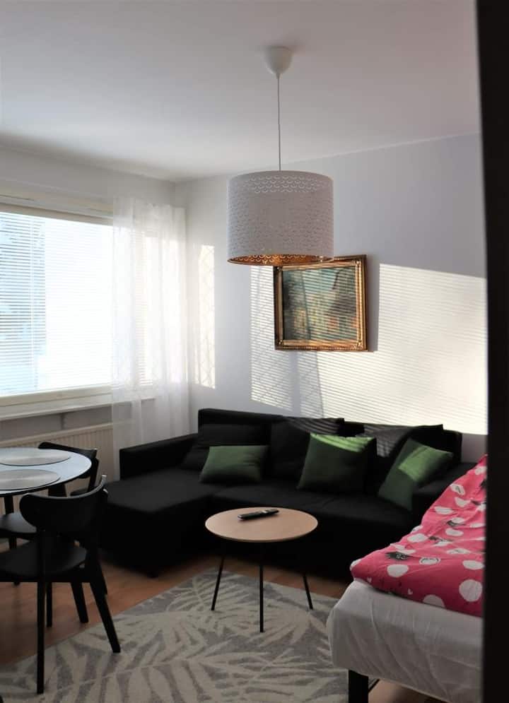 Studio Middle Of Town Centre. - Tornio