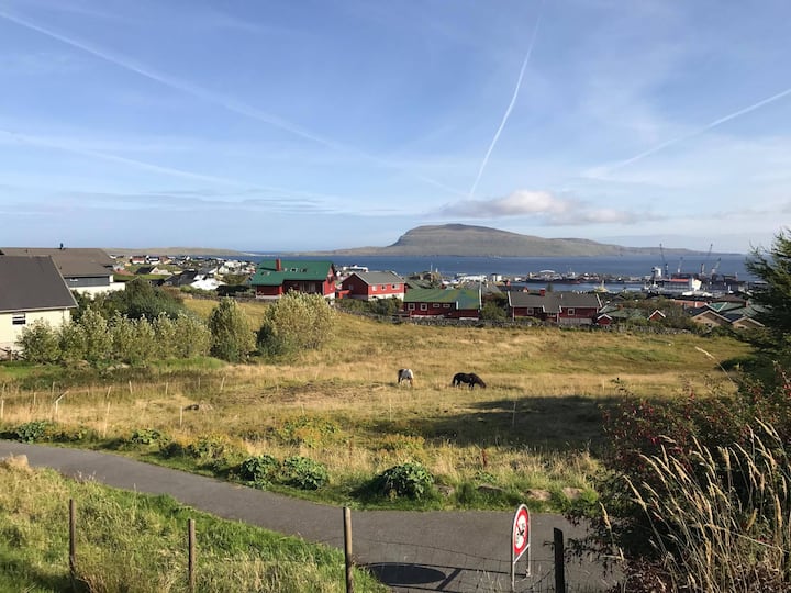 Homey Apartment - Faroe Islands