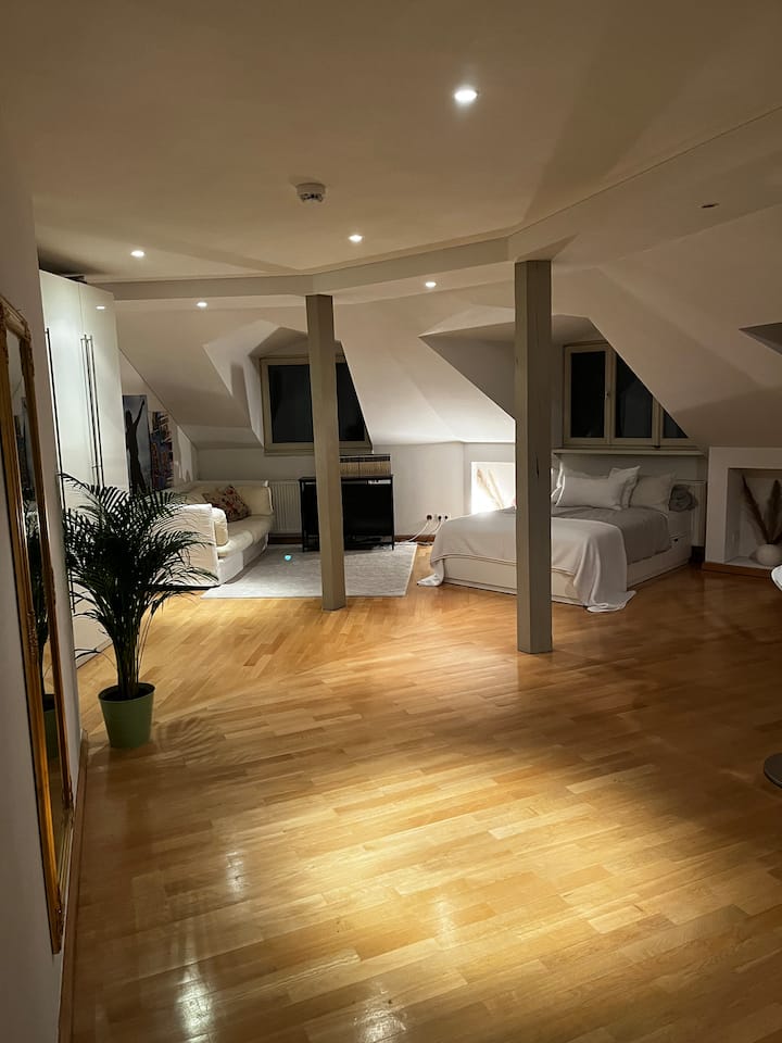Gemütliche Altbauwohnung - Erfurt