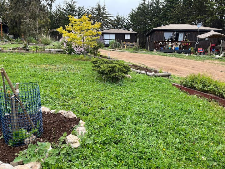 Cabaña  2 Hab 3/5 P. Prom 4 Noches L/v $139.000 - Pichilemu