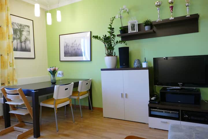 Charmante Wiener Stadtwohnung - Wien