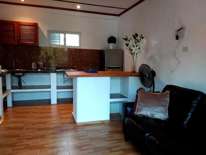 Tropical Garden Apartment With Pool Near Beach - Panglao