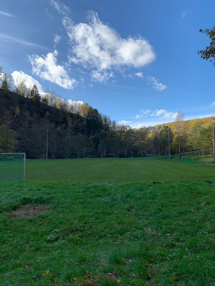 Camping F1 Belgian Grand Prix 20 M²/ Free Parking - Stavelot