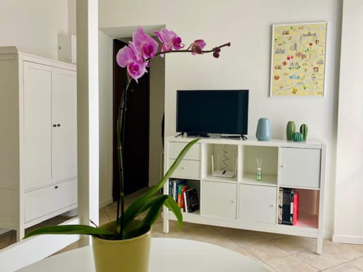 Milan Cozy Apartment Gambara - Sansiro - Milan